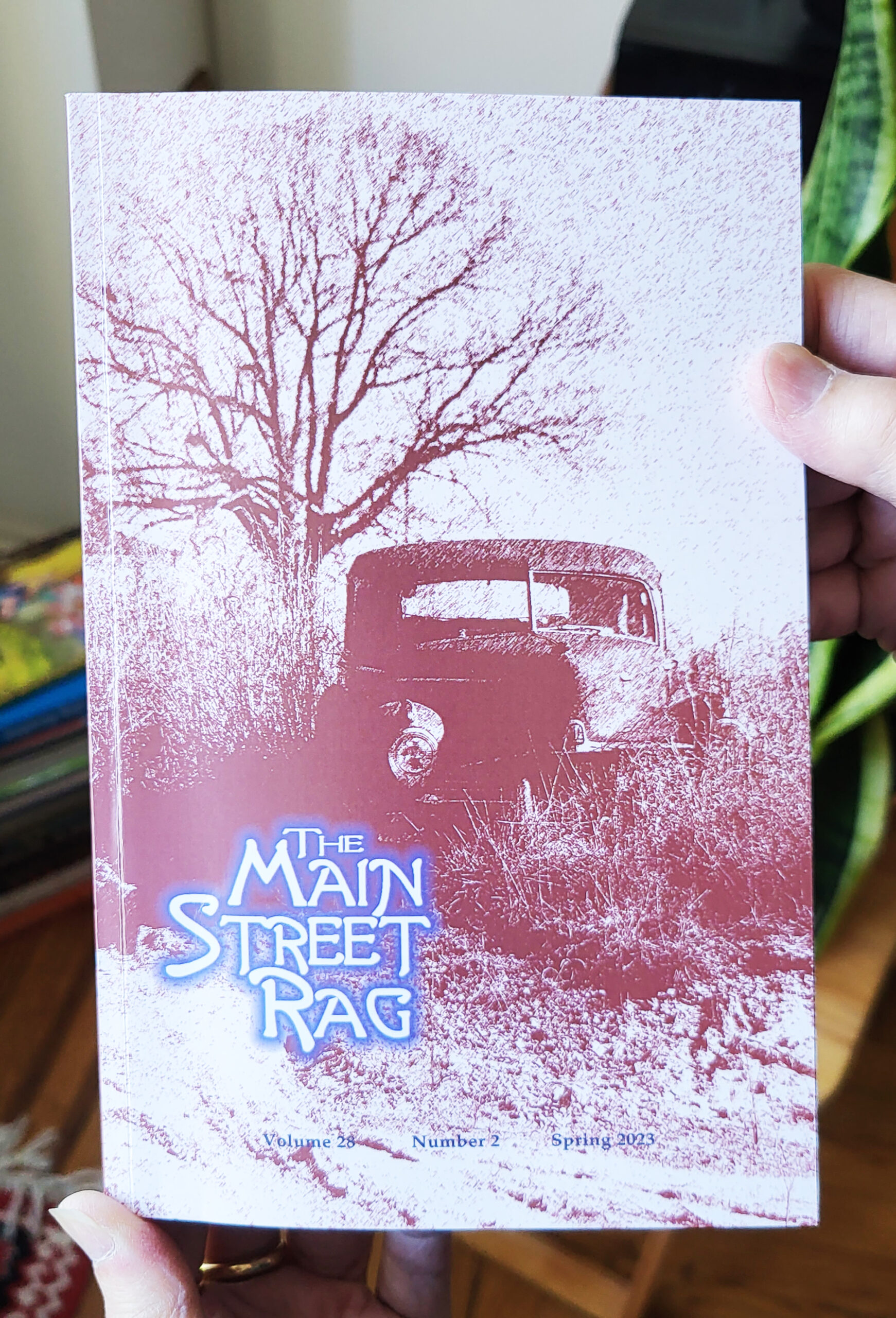 Looking at Pictures with Stan - Ann Levin Writer